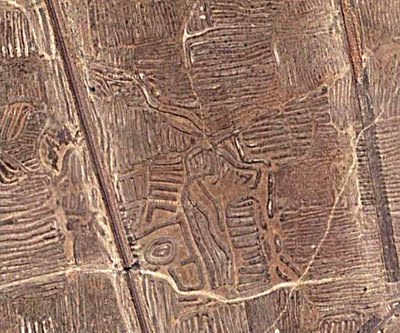 aerial picture of raised fields | Old School Garden