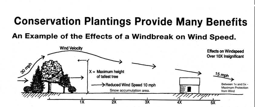 wind break diagram | Old School Garden