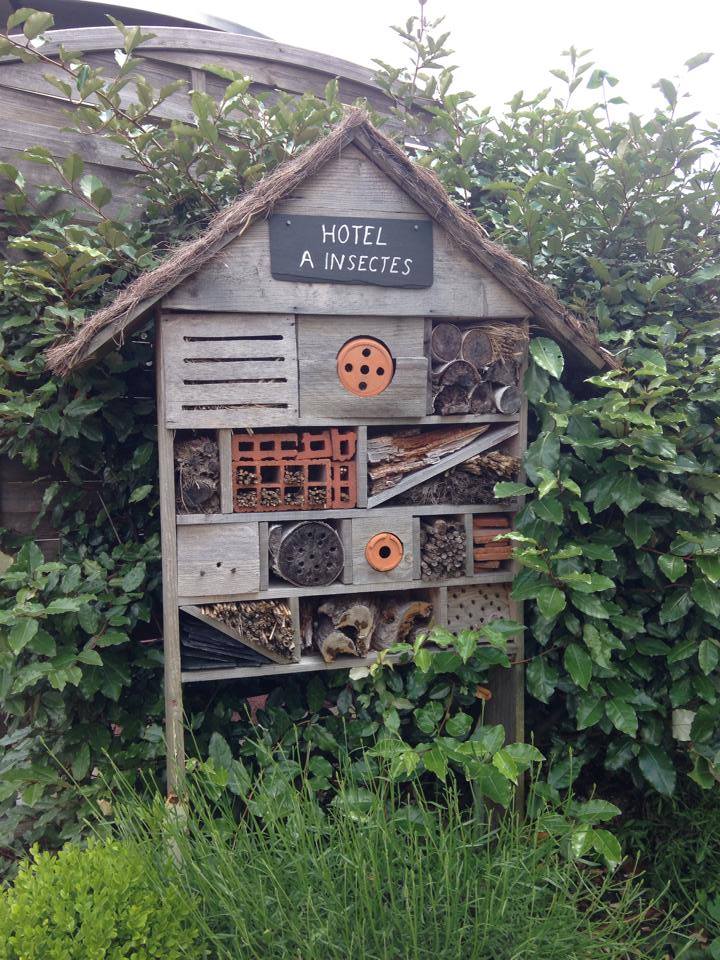 bug ball topiary trees via urban gardens created by wildlife gadgetman ...