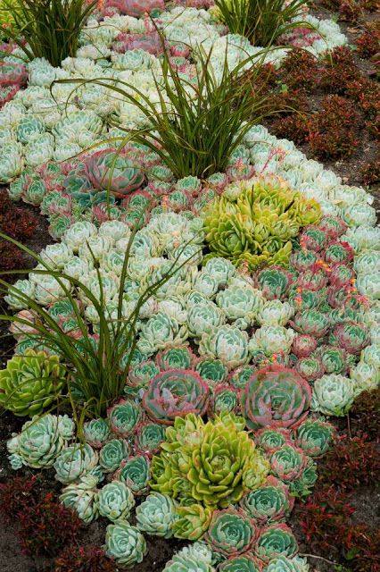 Planting Patterns #32 | Old School Garden