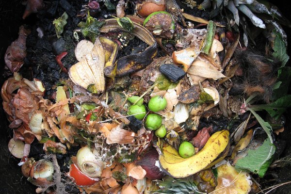 Great Compost= Great Soil= Great Gardens! | Old School Garden