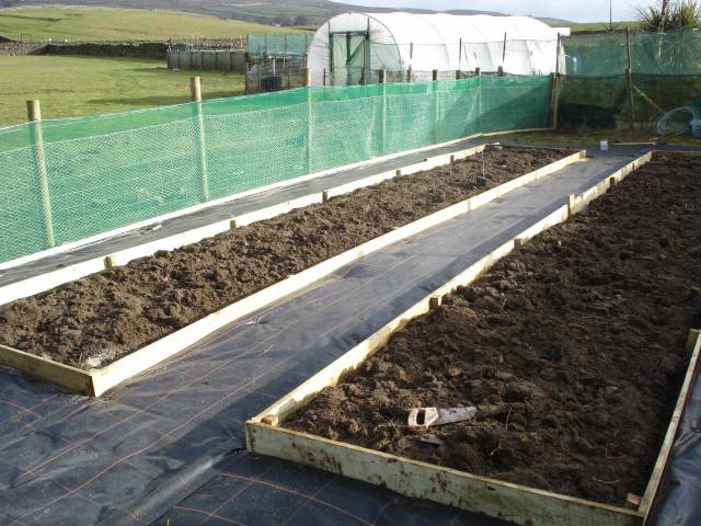 Top Tips for Windy Gardens | Old School Garden