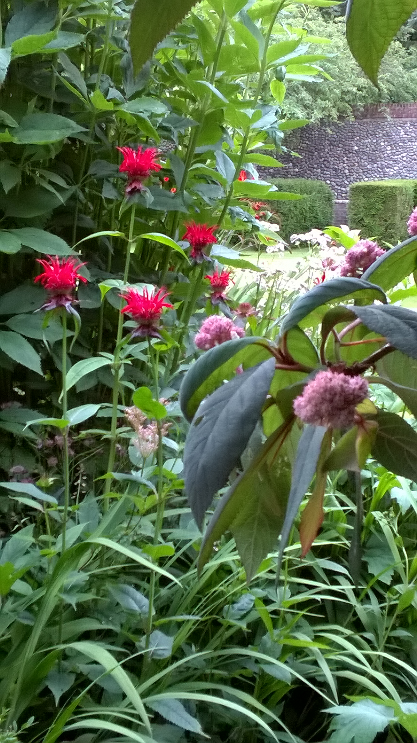 Corpusty Mill: a garden of smiles | Old School Garden