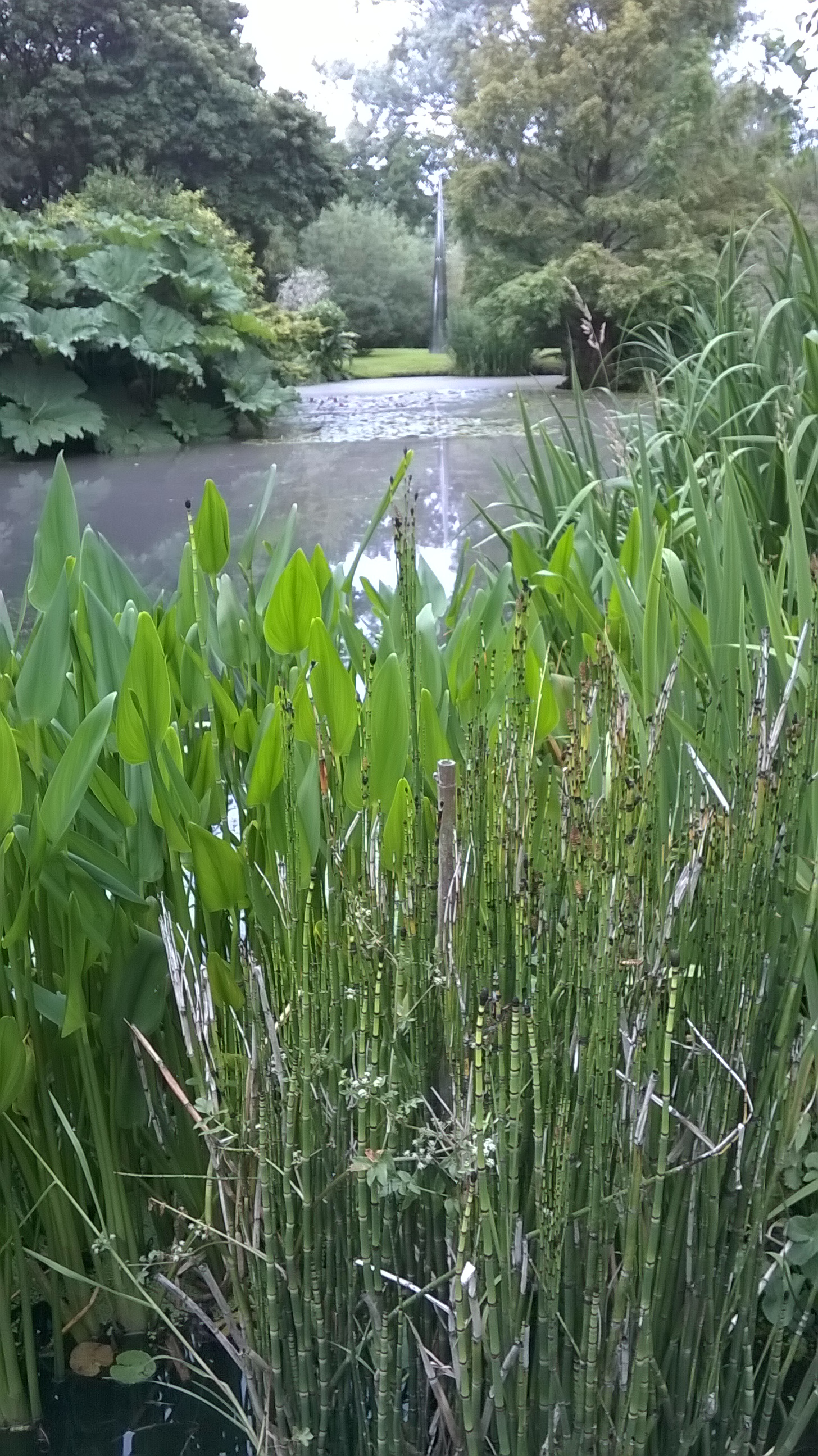 Corpusty Mill: a garden of smiles | Old School Garden