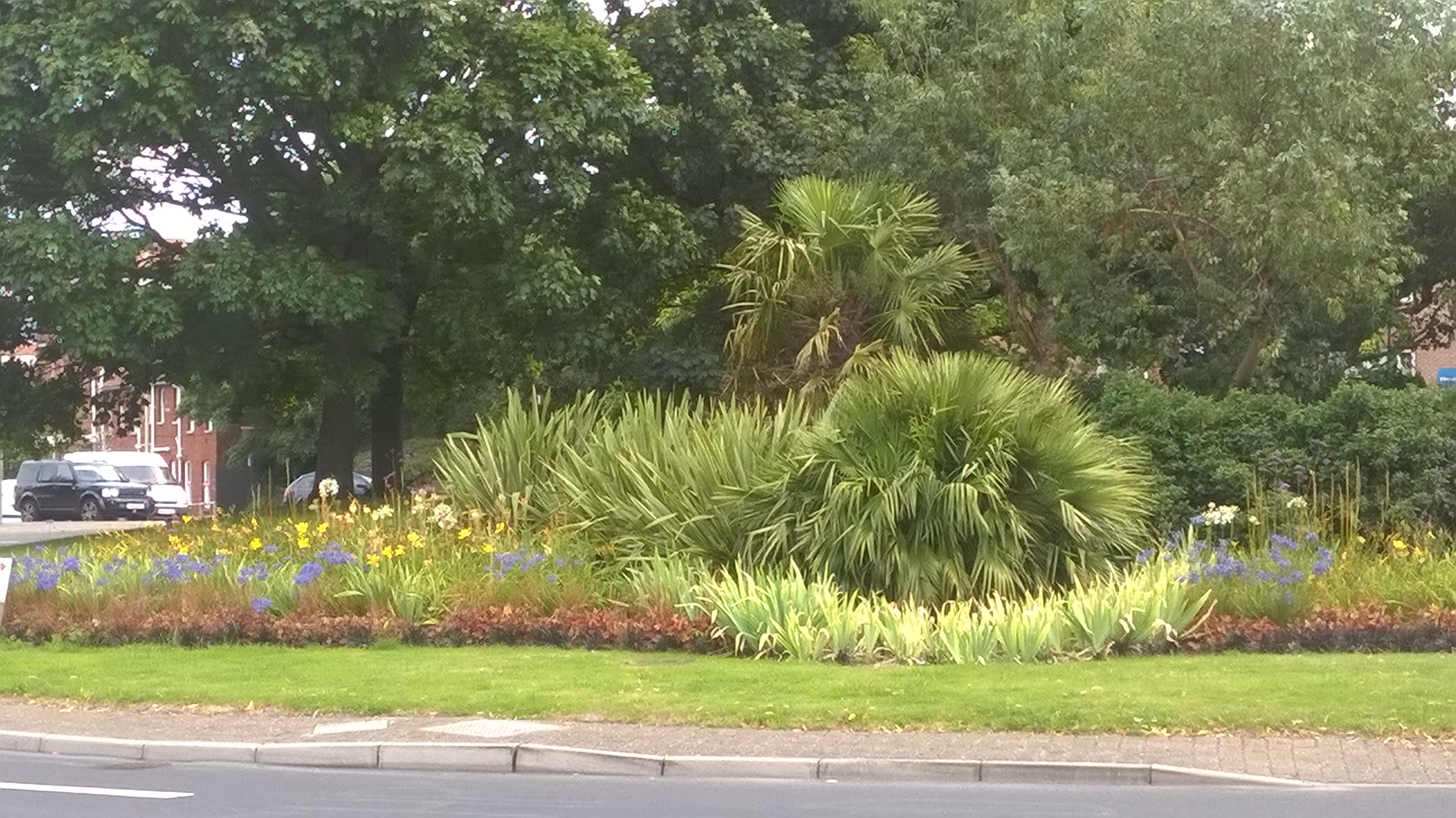 Floral Roundabouts | Old School Garden