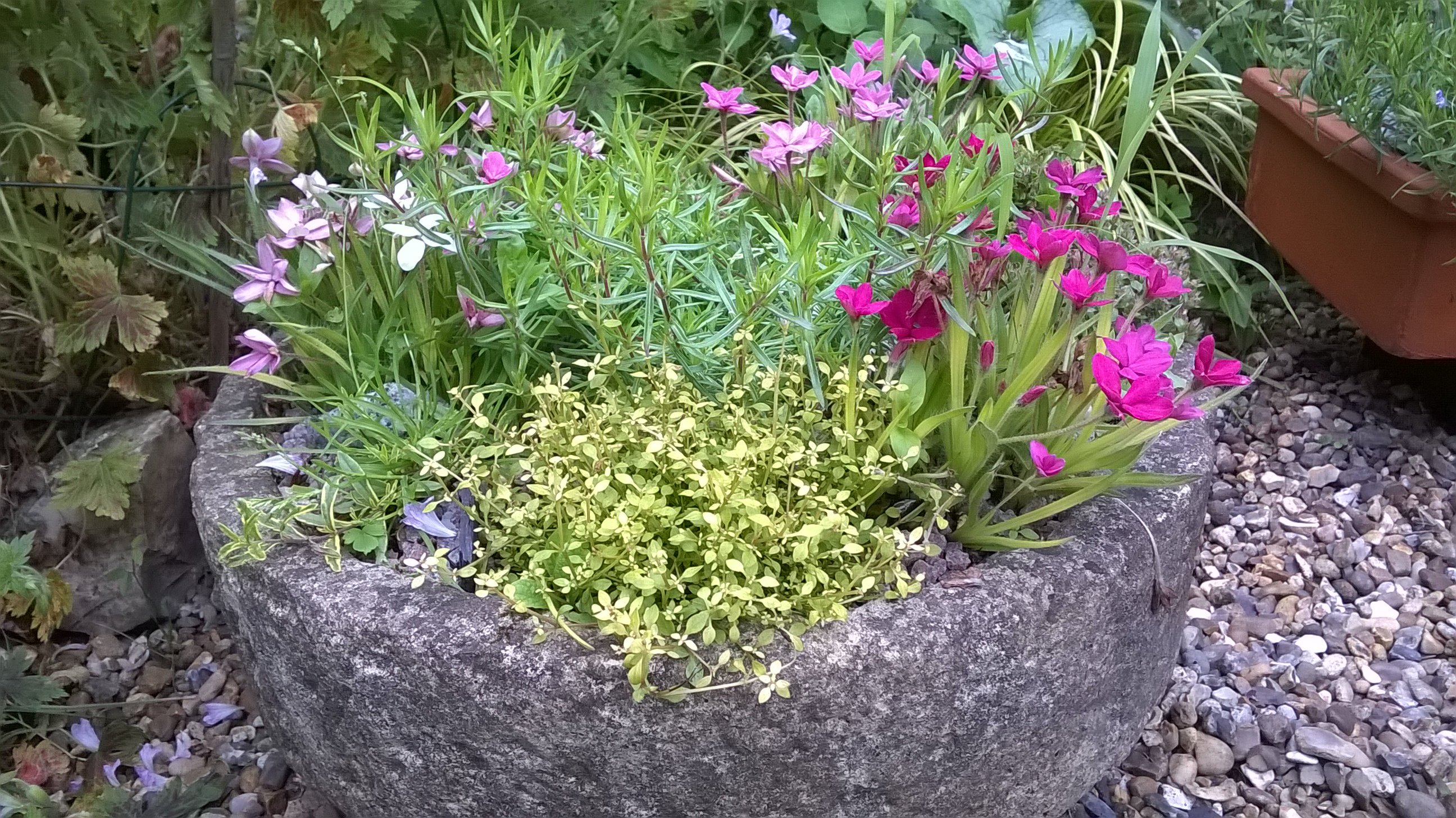 Great Garden @ West Barsham Hall | Old School Garden