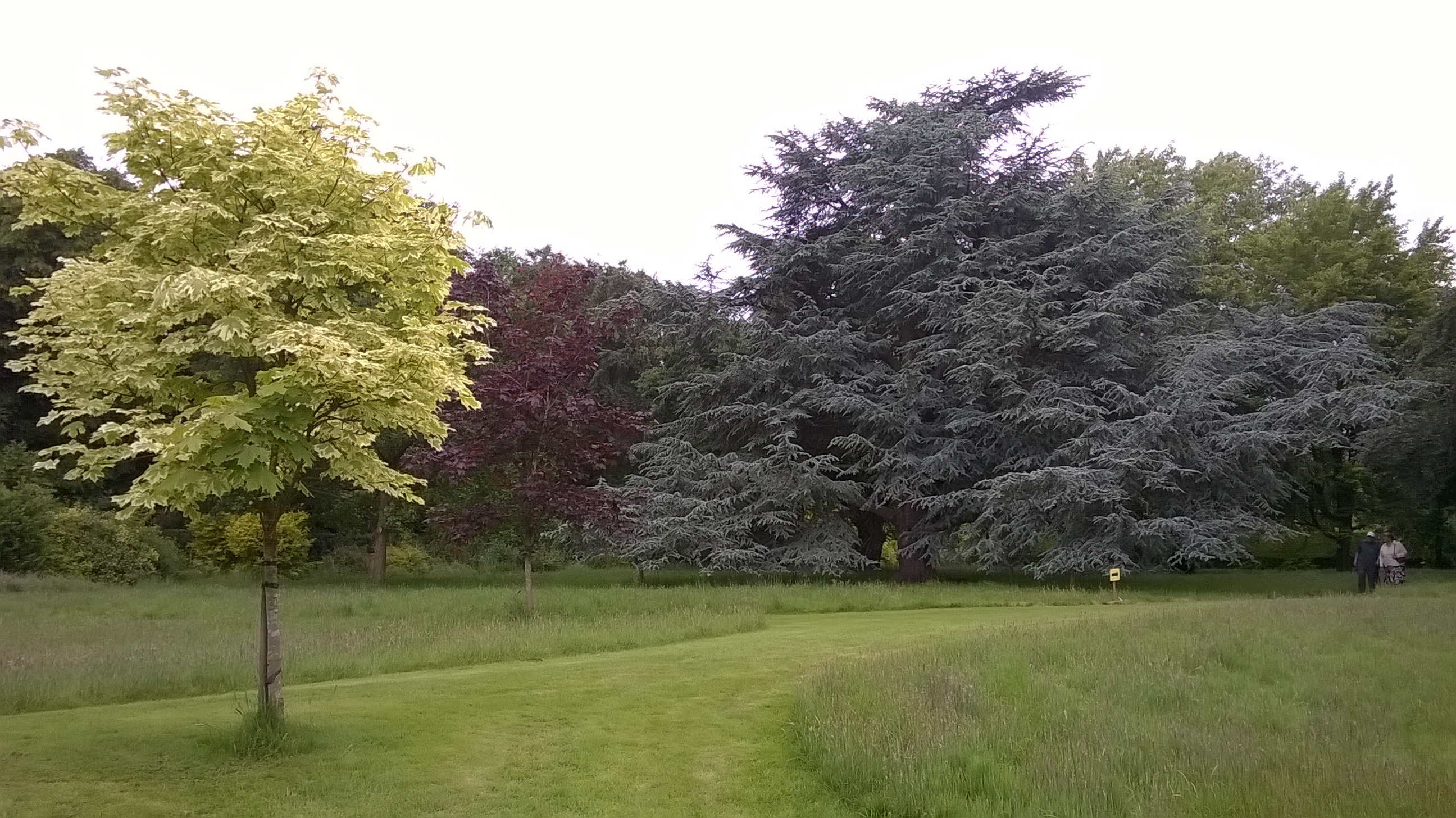 Great Garden @ West Barsham Hall | Old School Garden